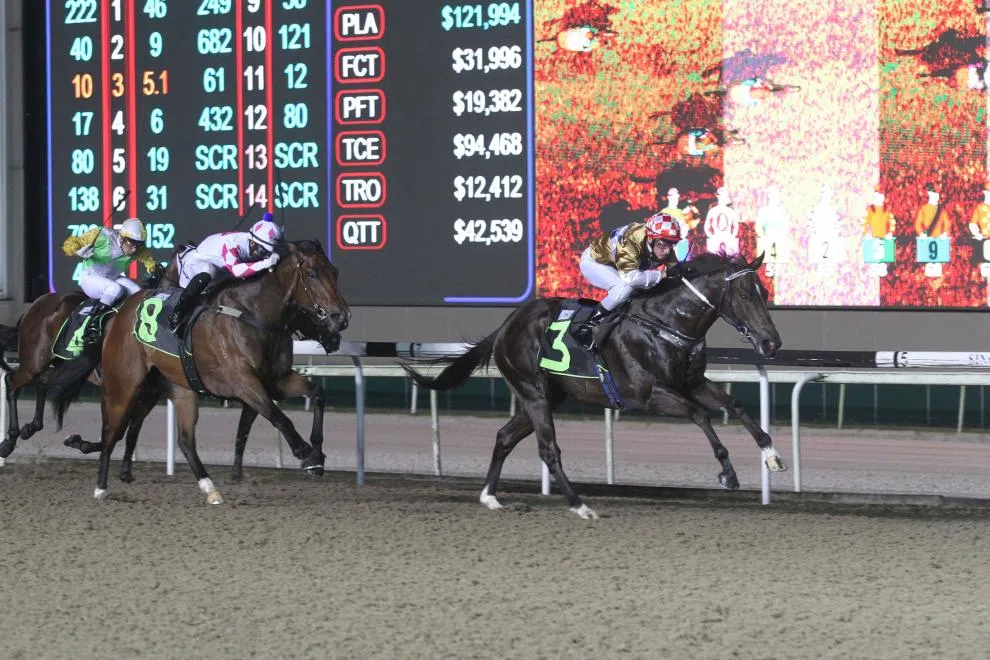 No stress, Surpass Natural is back | The New Paper