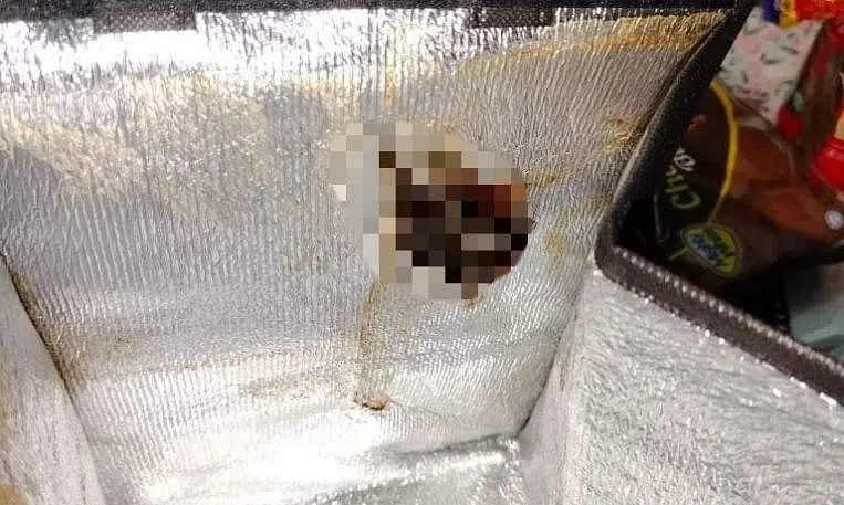 Squashed rat found in food delivery..., Latest News - The New Paper