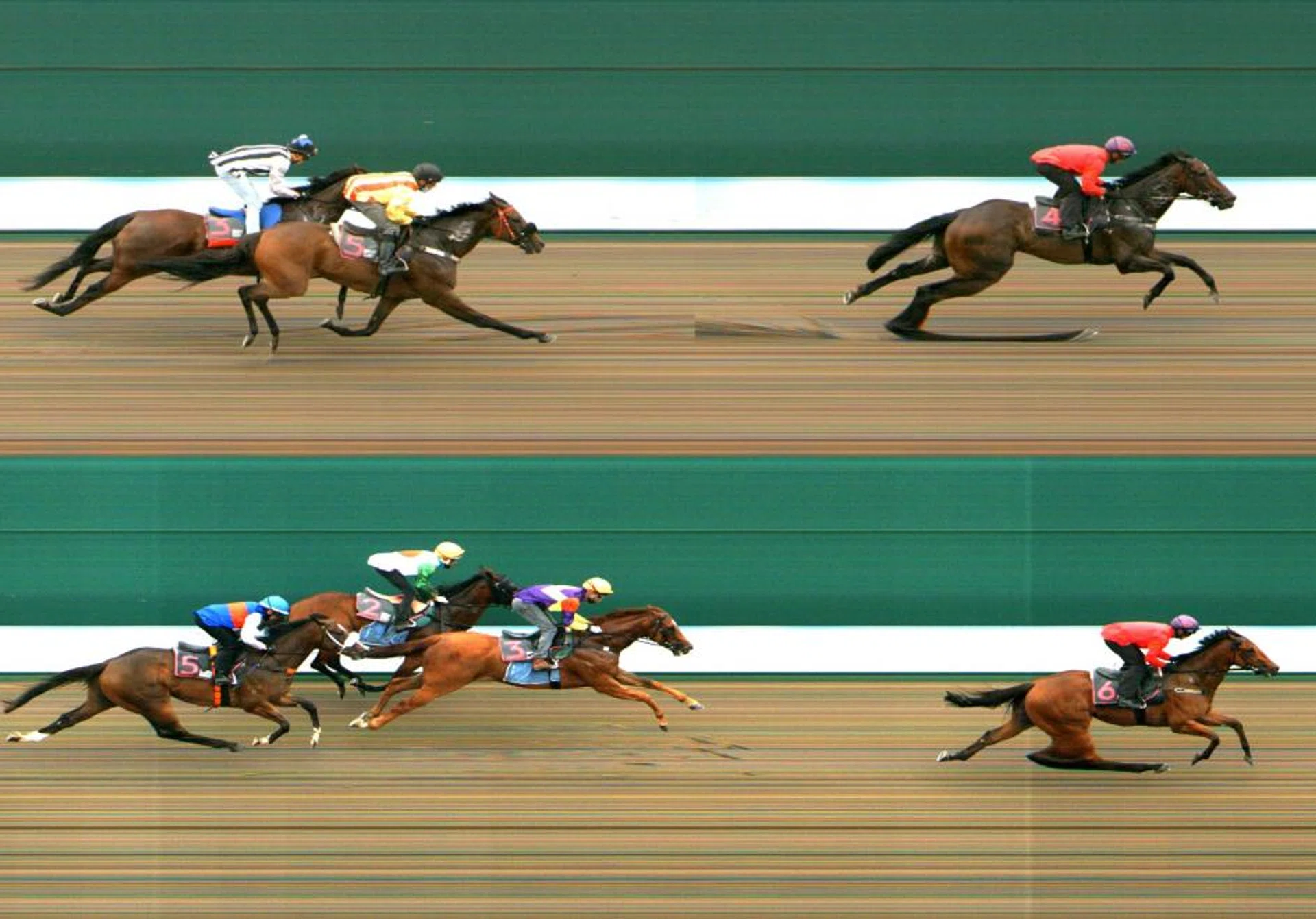 Shane's pair shine | The New Paper