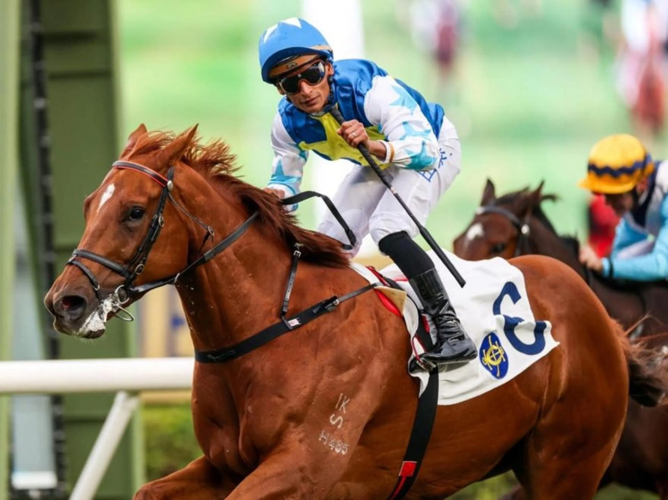 Ts victoria wells instagram i saw a review of Brie on here