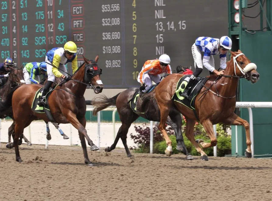 Maxima looks good for quick double | The New Paper