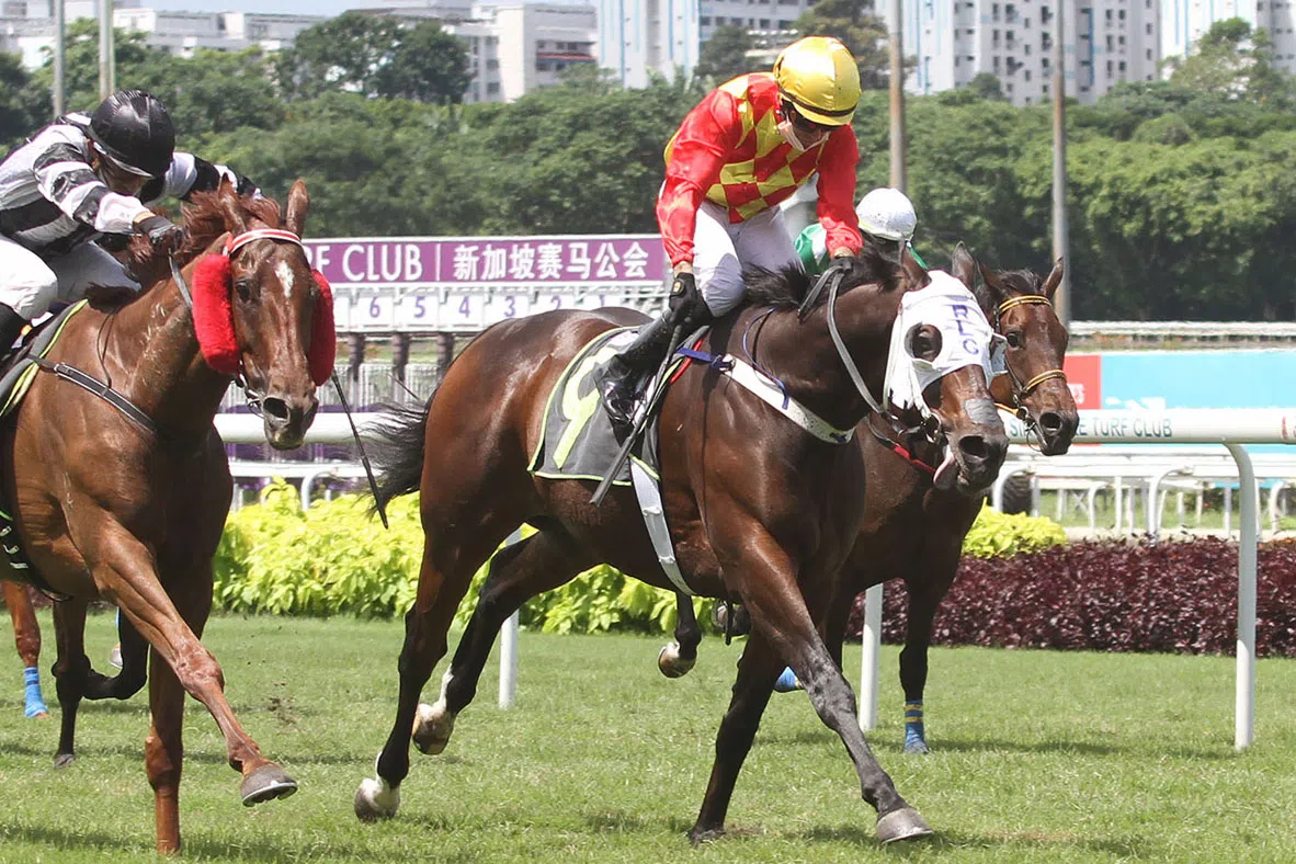 Gold Reward can stay all day, Latest Sports News - The New Paper