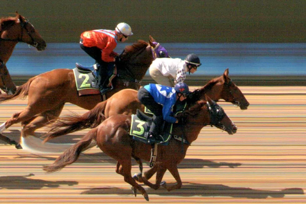 Saimee's Archie looks special | The New Paper