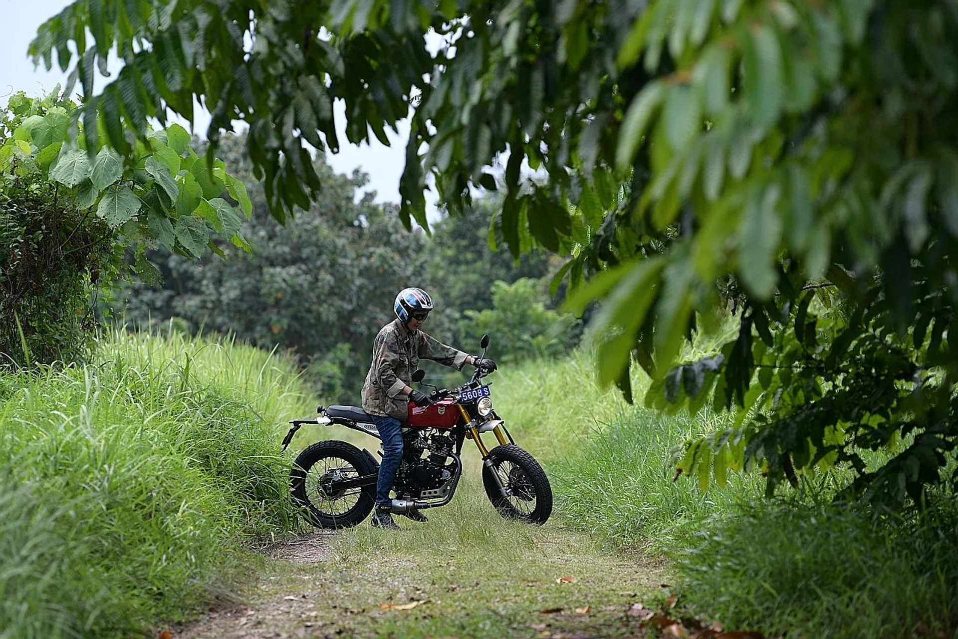 Mutt's Razorback 125 is a budget ride with lots of old-school charm ...