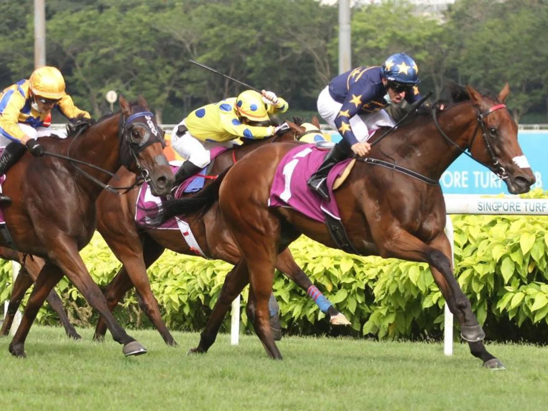 Sweat and tears for chalice of..., Latest Sports News - The New Paper