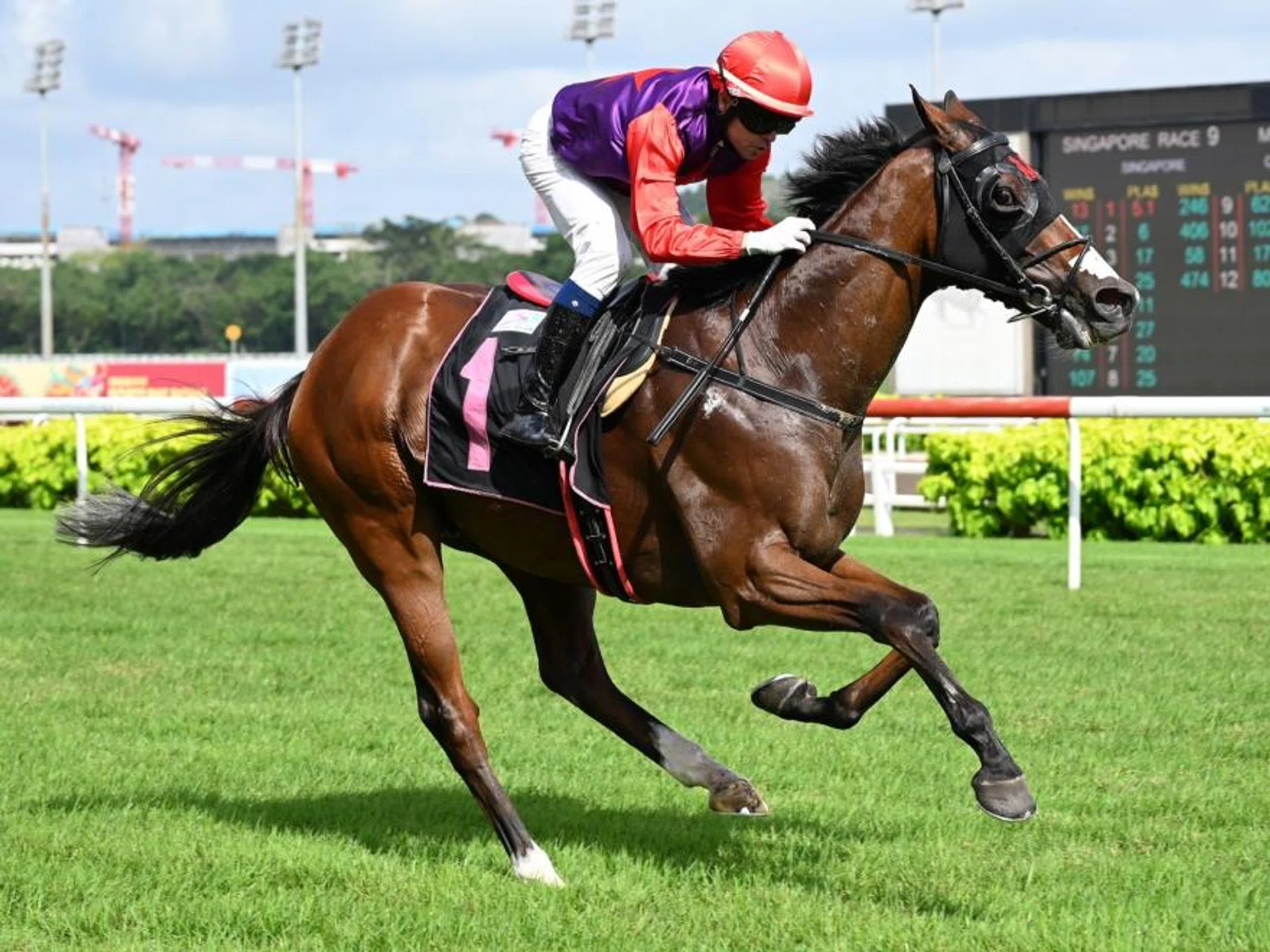 Easy Breezy as one-two-three | The New Paper