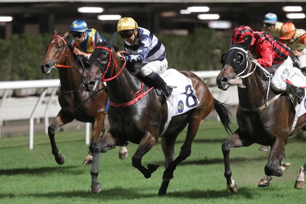 Packing Award can head owner's..., Latest Sports News - The New Paper