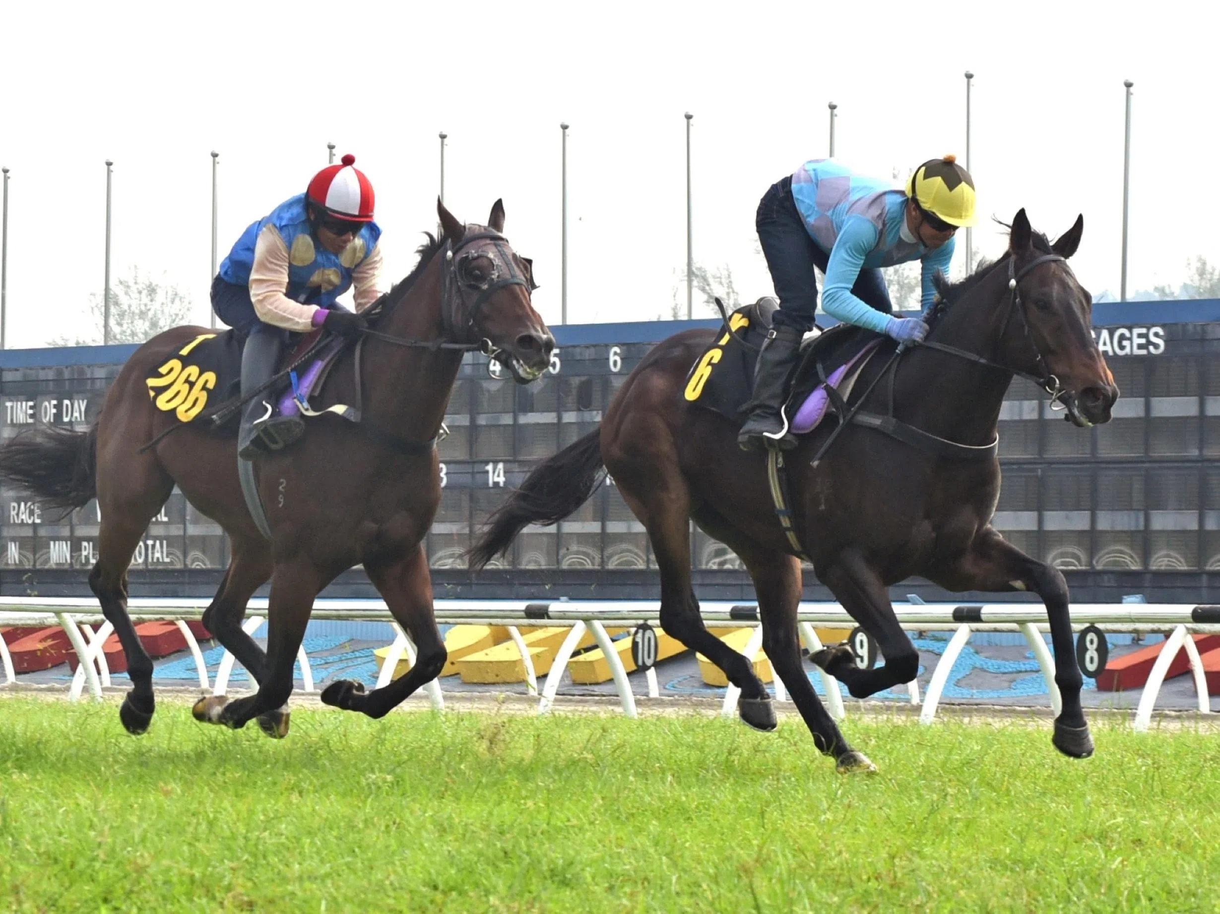 Ong's Mega Blaze sets trials on fire | The New Paper