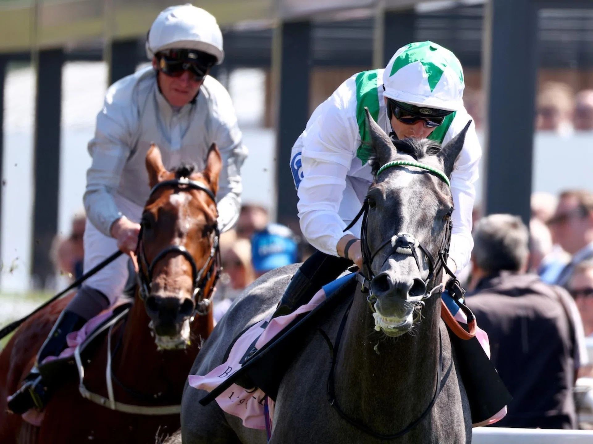 Look Hoo's trying to go one better | The New Paper