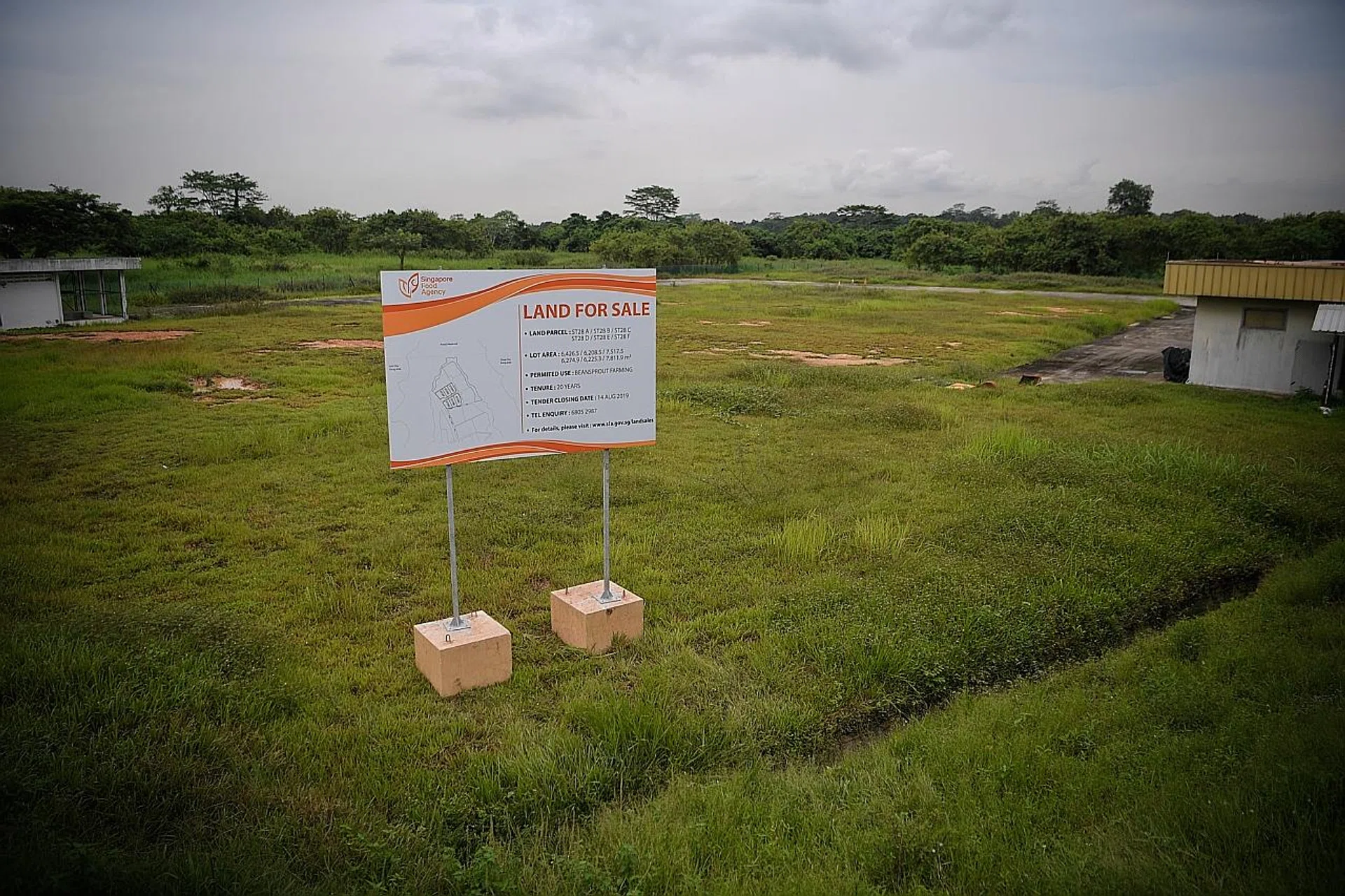 Ten land parcels for farming up for sale | The New Paper