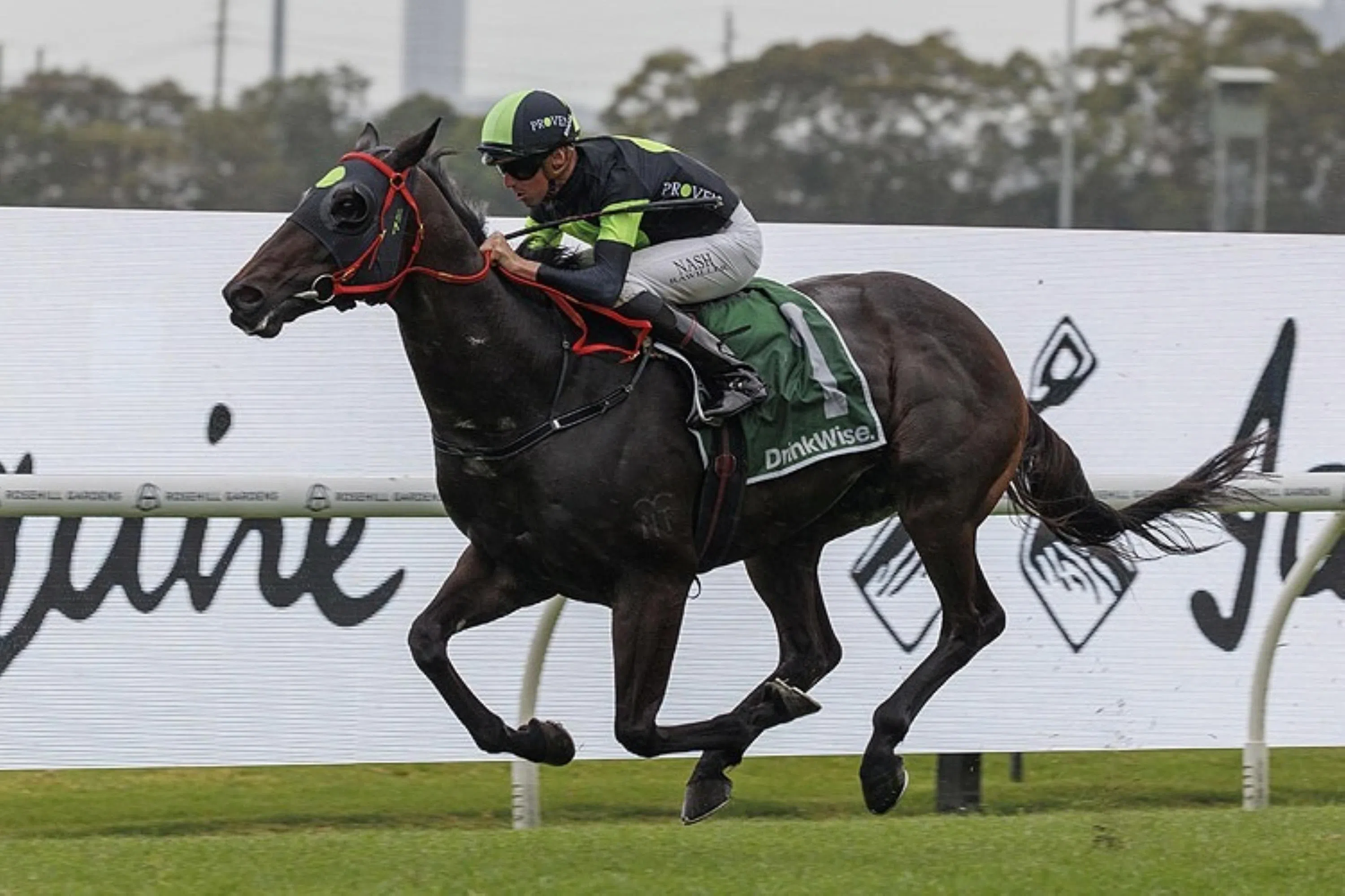 Private Eye Melbourne-bound after Missile Stakes scrapped | The New Paper