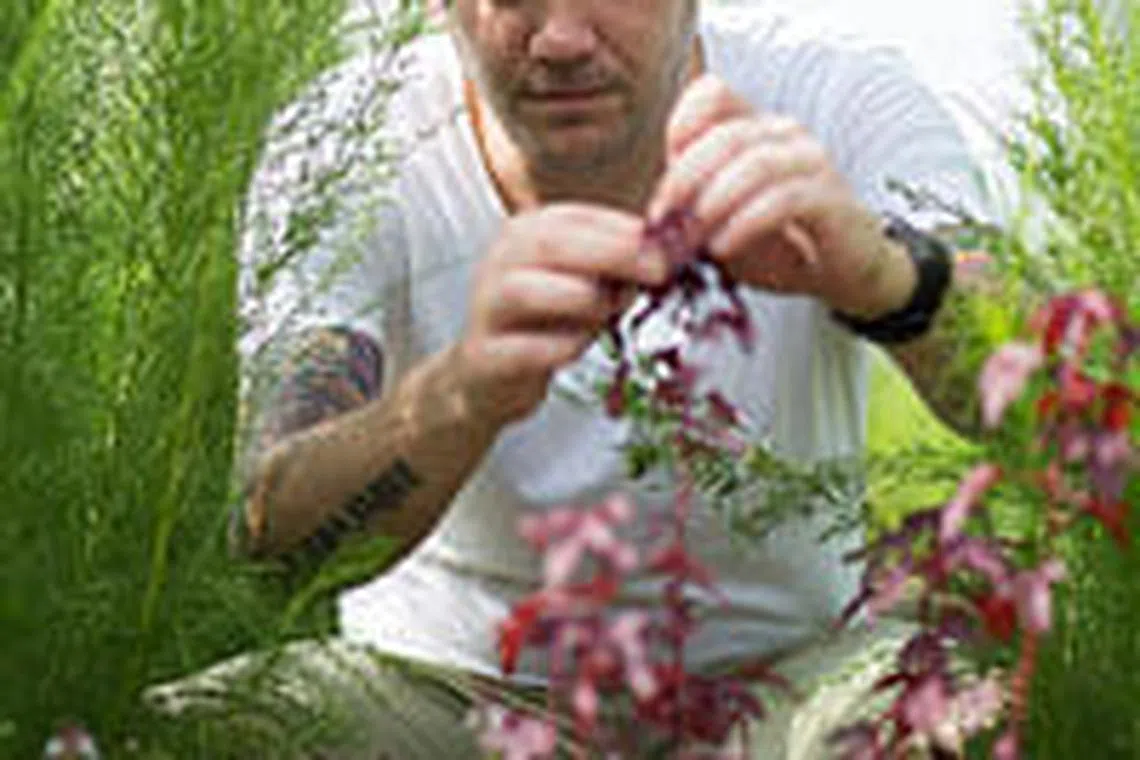 Chef Ryan Clift gardens for new restaurant Open Farm Community - The ...