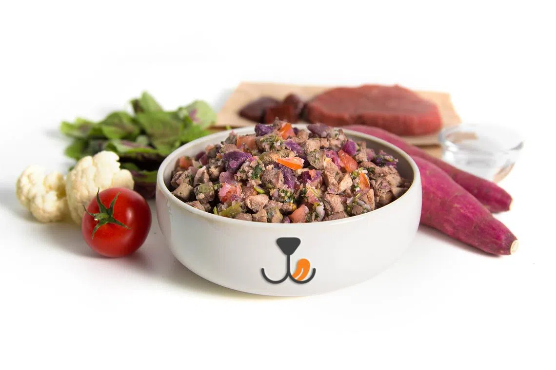 Pamper your pet pooch with the best premium dog food in Singapore - The ...