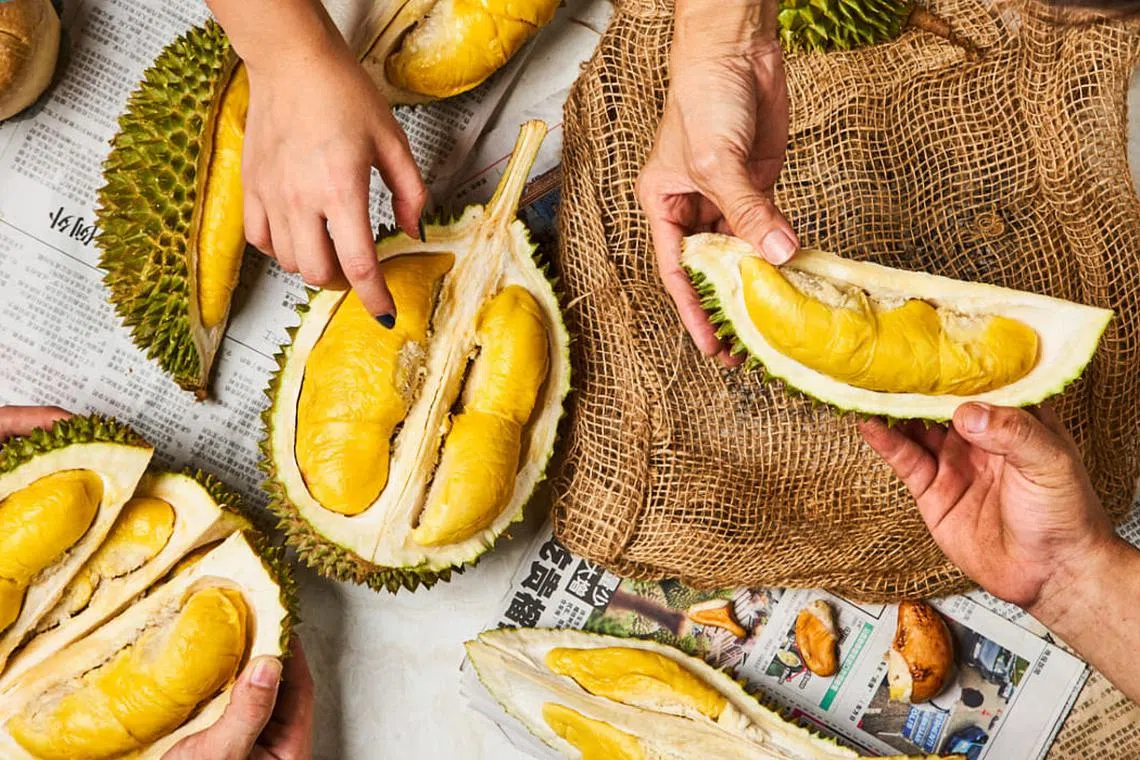 It’s durian season: deliveries of Mao Shan Wang, Black Thorn and more ...