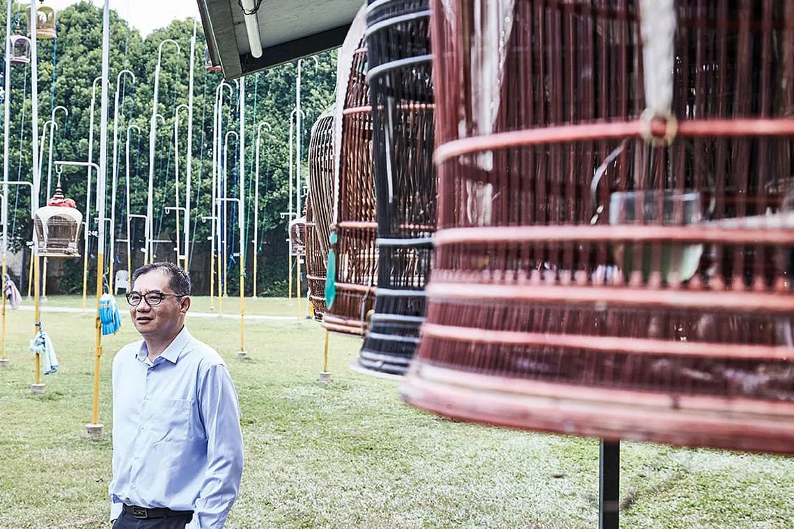 Songbirds that sing to a tune of $20,000 - The Peak Magazine | PEAK ...