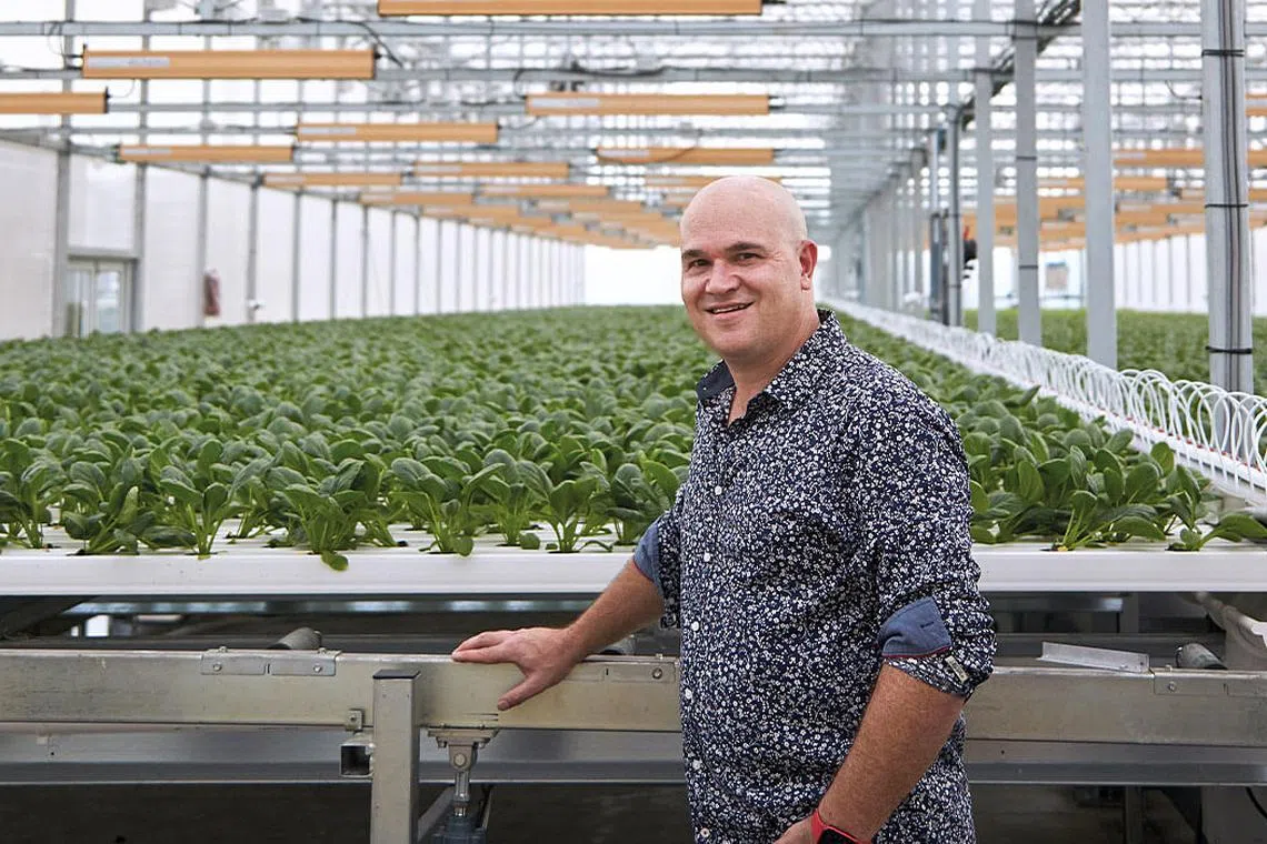 ComCrop, Singapore's first commercial rooftop farm, feeds the nation ...
