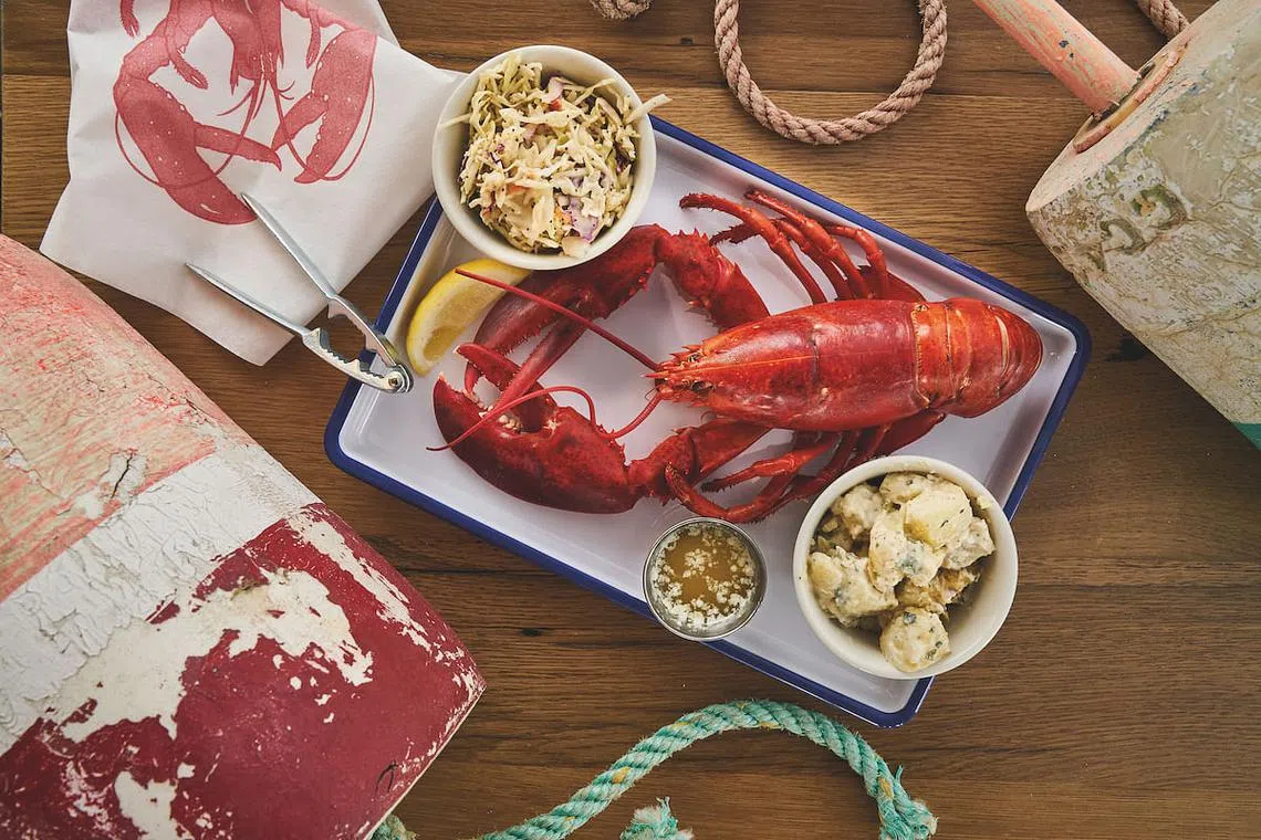 How Luke Holden grew a single lobster roll shack into a multimillion ...