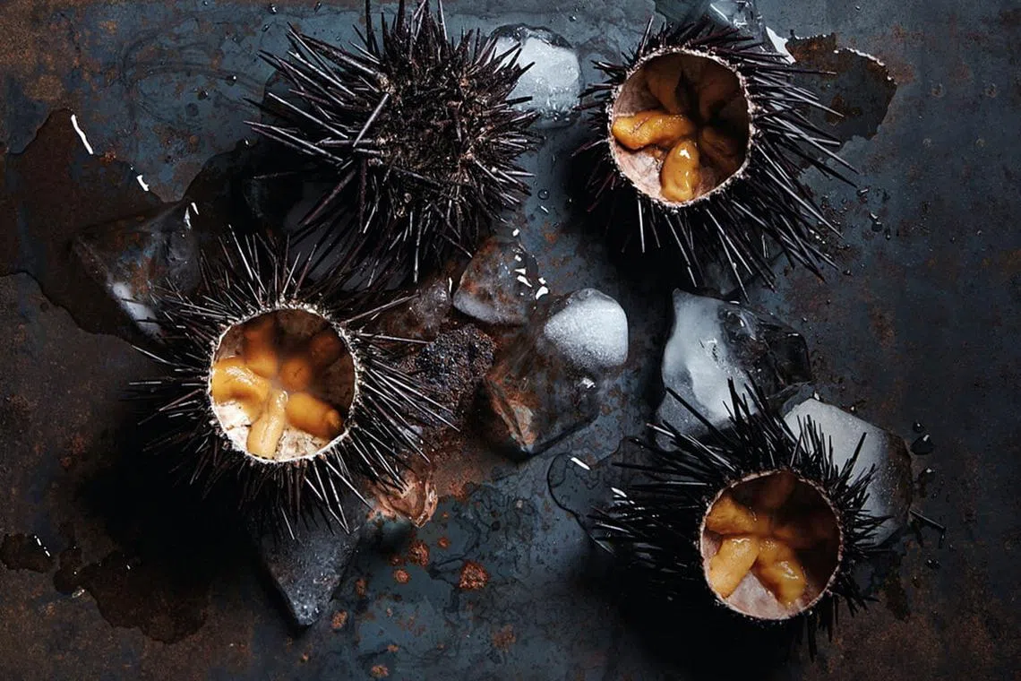 All you need to know about uni, the latest food craze in Singapore ...