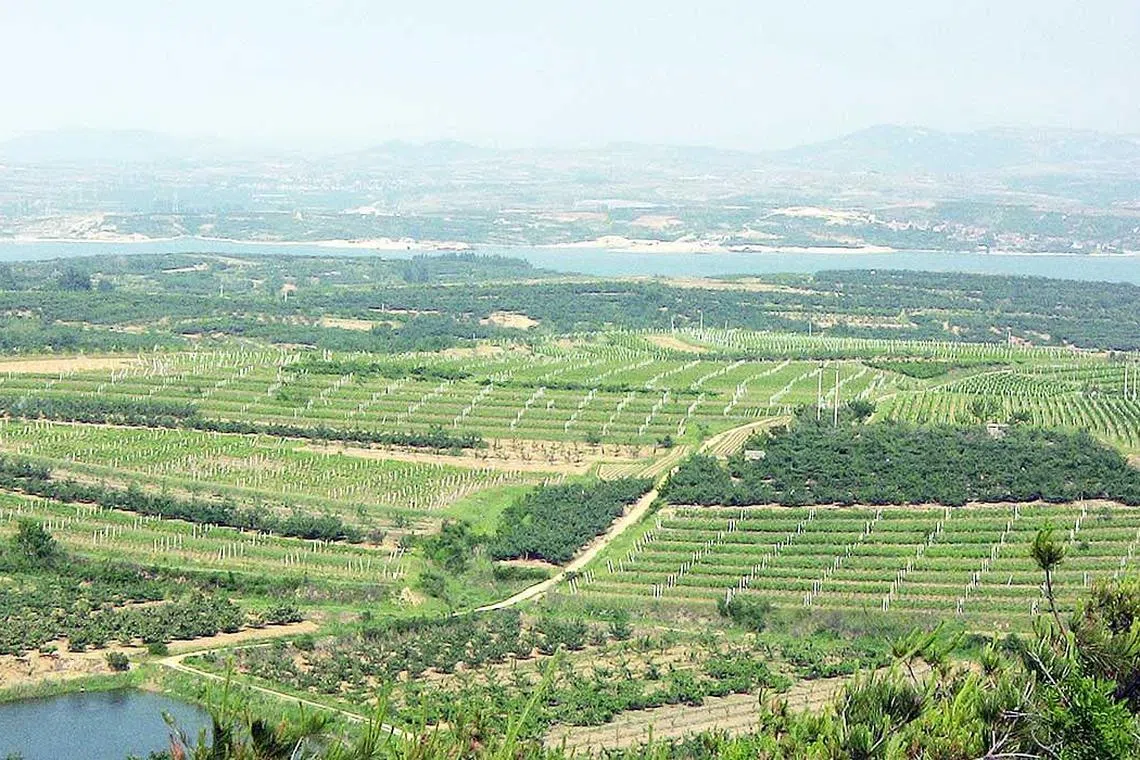 Lafite to release first Chinese fine wine next fall - The Peak Magazine ...