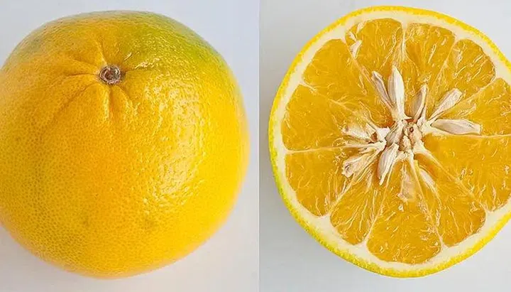 Foodie Guide: How to choose mandarin oranges for Chinese New Year - The ...