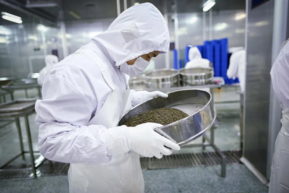 Caviar 'queen': Chinese roe reigns around the world - The Peak Magazine ...