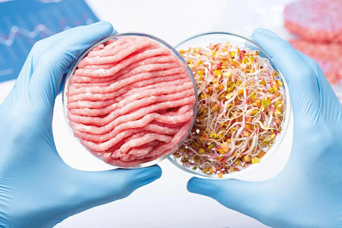 How restaurants are using plant-based meat alternatives | PEAK Singapore