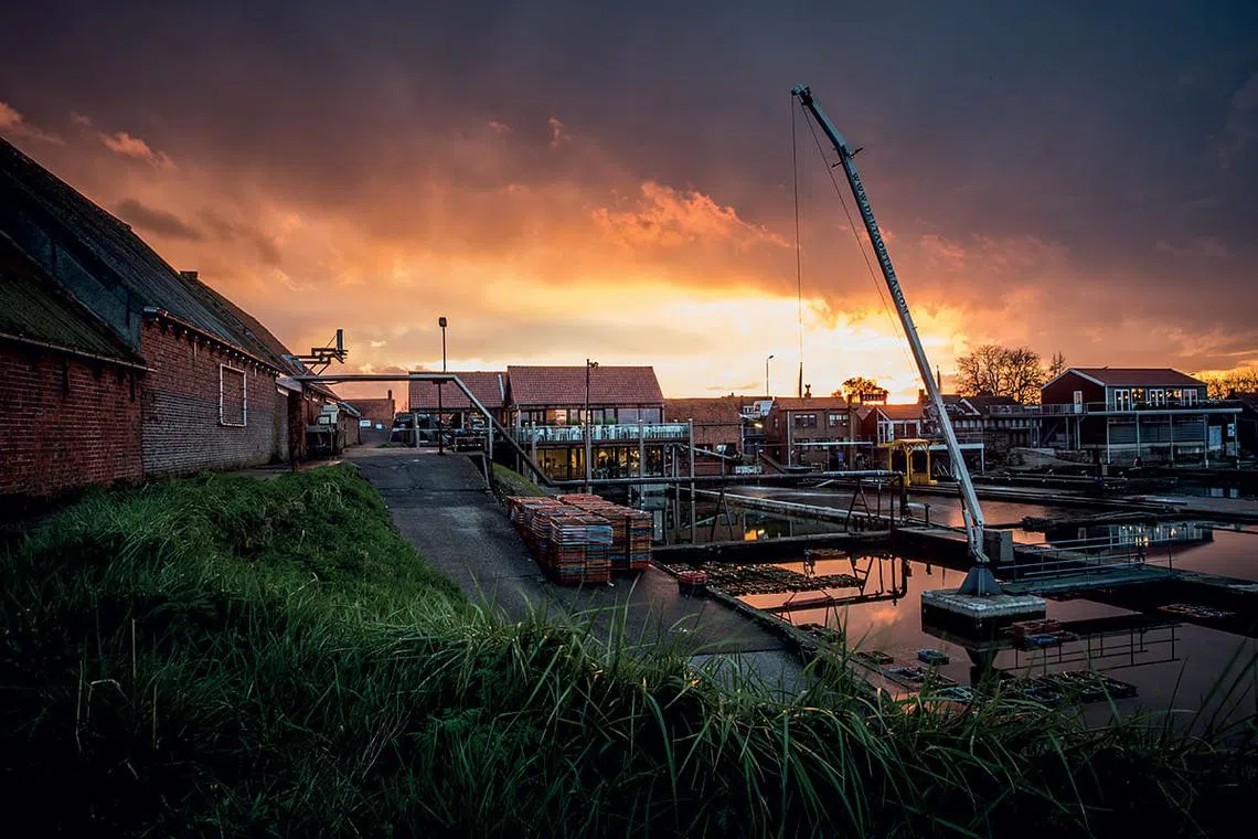 How Zeeland became The Netherlands' most Michelin-starred province ...