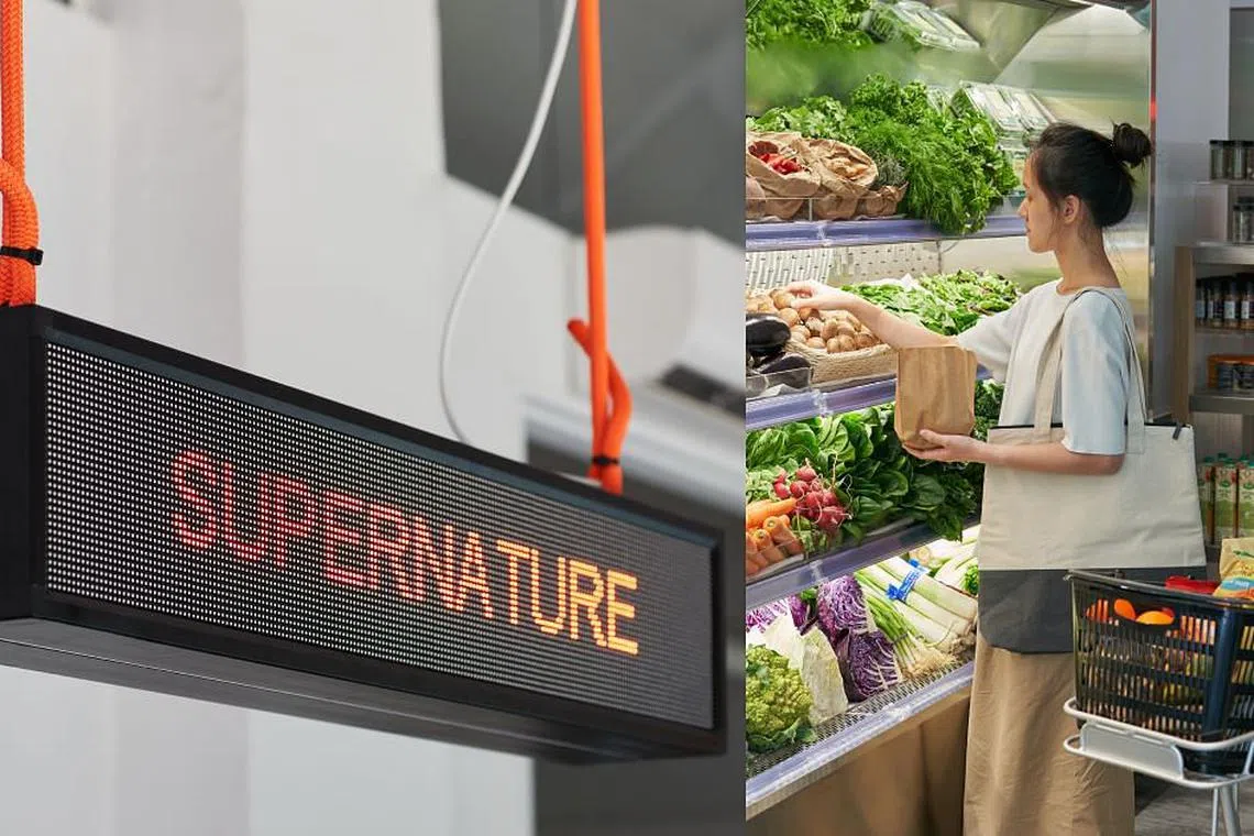 Discover renewed wellness at SuperNature's new COMO Dempsey home - The ...