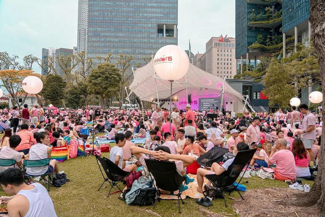 The Business of Activism — Why Pink Dot continues post repeal - The ...
