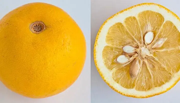 Foodie Guide: How to choose mandarin oranges for Chinese New Year - The ...