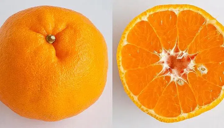 Foodie Guide: How to choose mandarin oranges for Chinese New Year - The ...