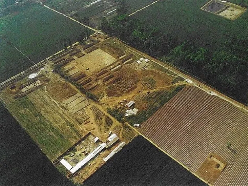 Bai Juyi: This Tang dynasty poet enjoyed a good life