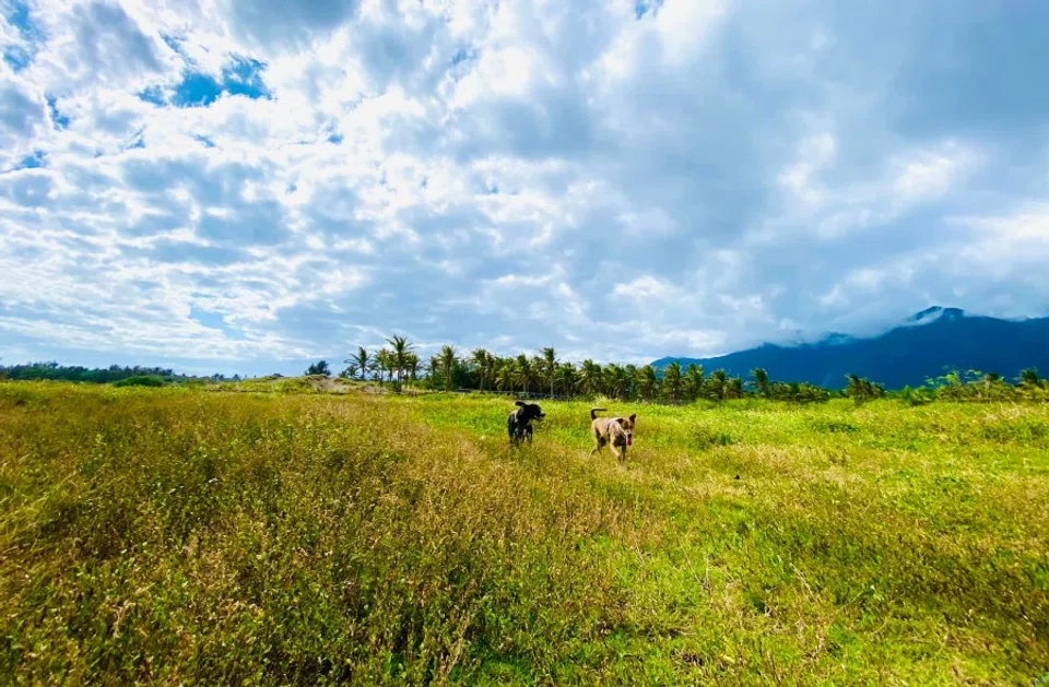 Taiwanese author Lung Ying-tai: Everyone needs a mountain in our heart