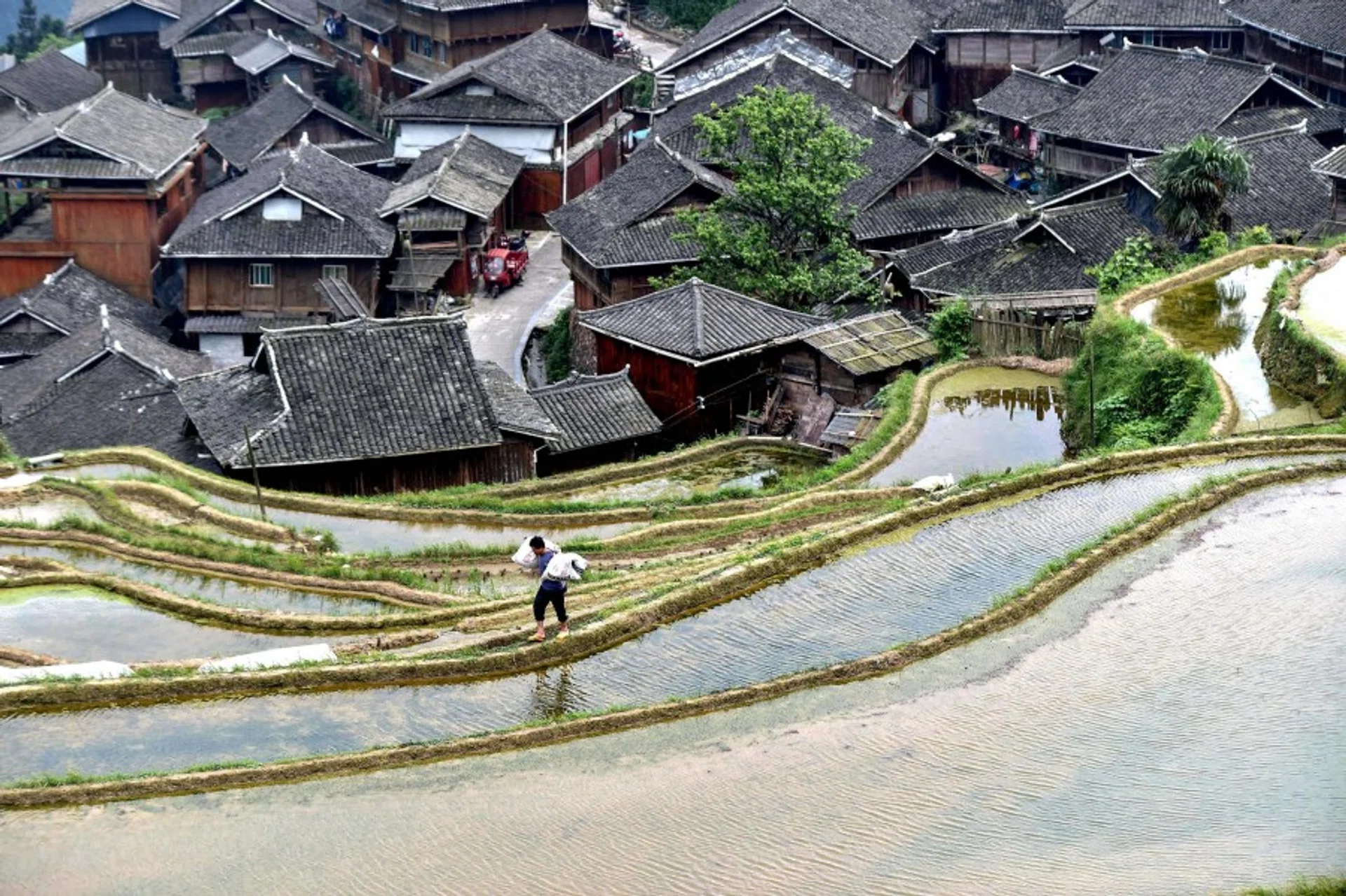 Chinese economics professor: My grandmother and the kind, gentle souls ...