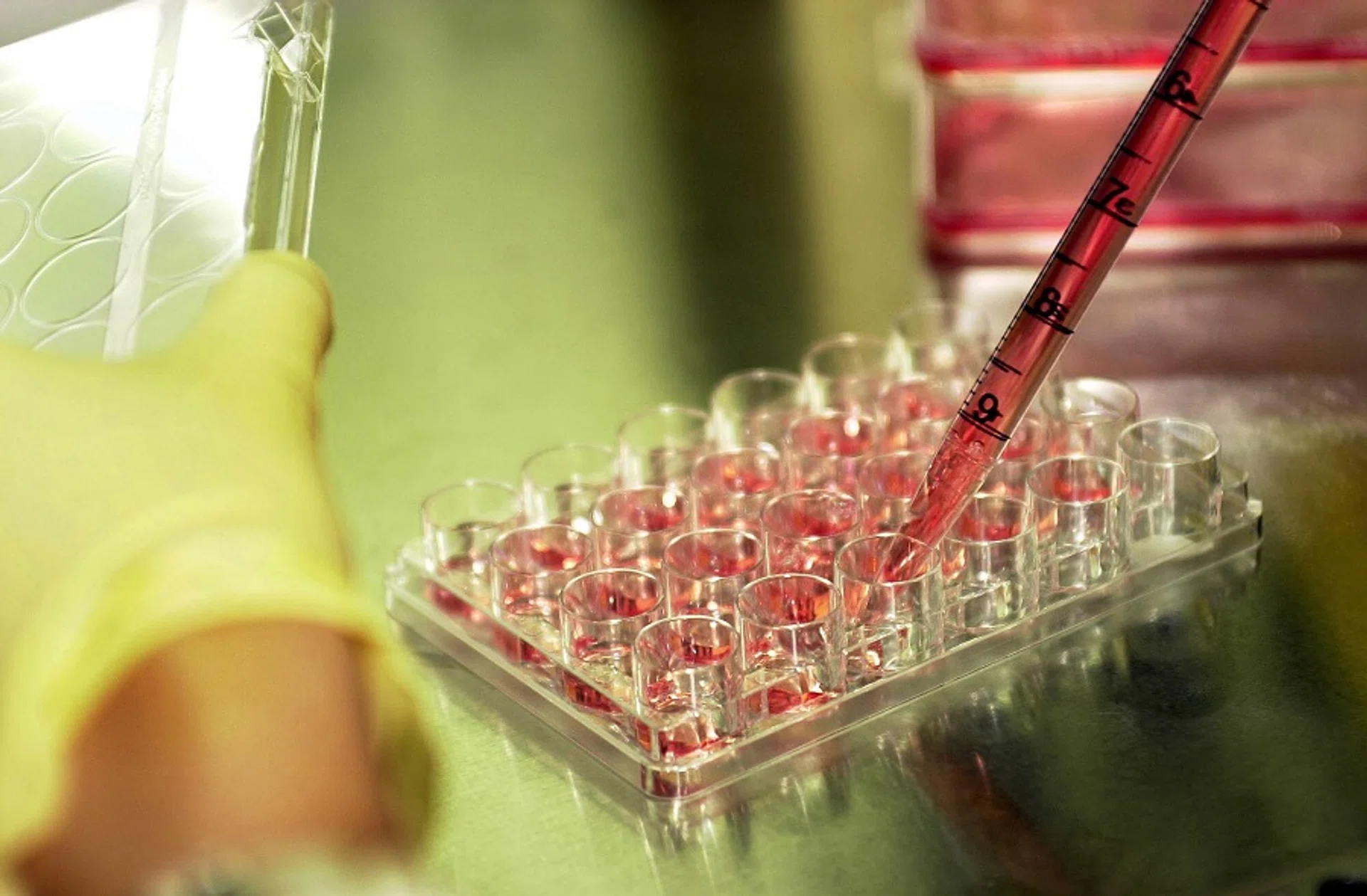 China set to ease controls on genetic resources to plug biotech innovation gap