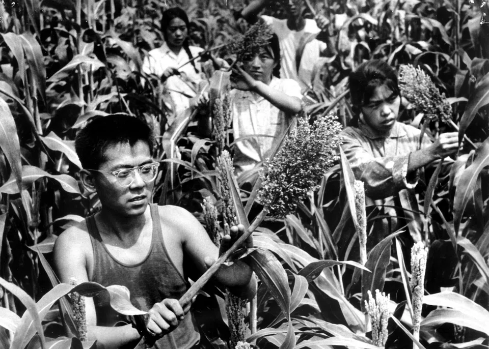 [Photo story] The Cultural Revolution: A Taiwanese reflects