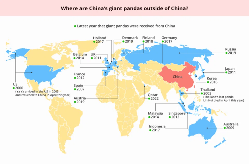 Not just cute: How pandas became a politicised symbol around the world