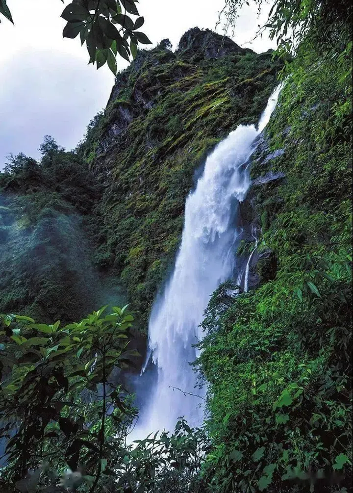 China’s Ailao Mountains: Preserving nature in the age of oversharing