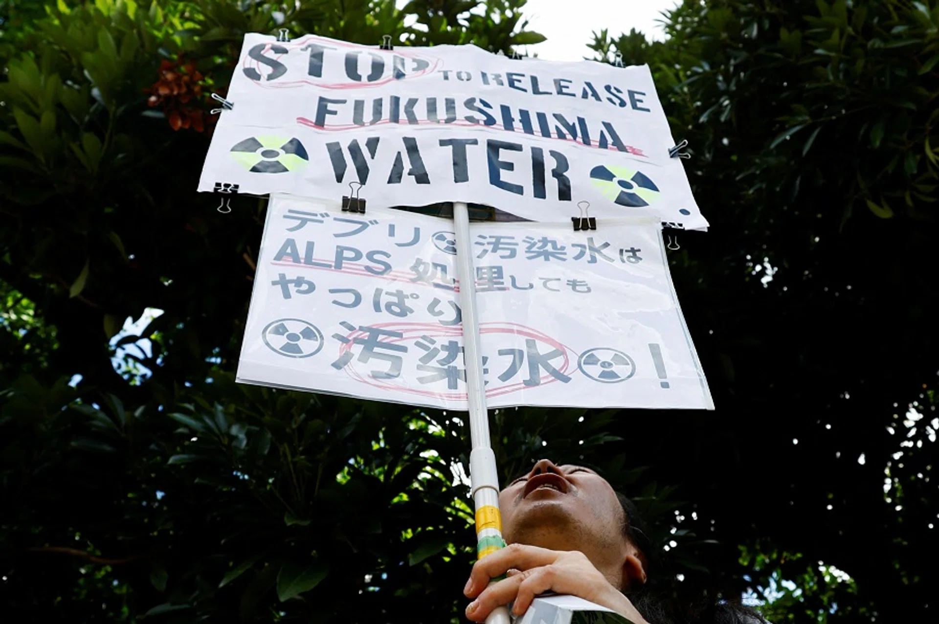 Japanese academic: China's strong views about Fukushima water will ...