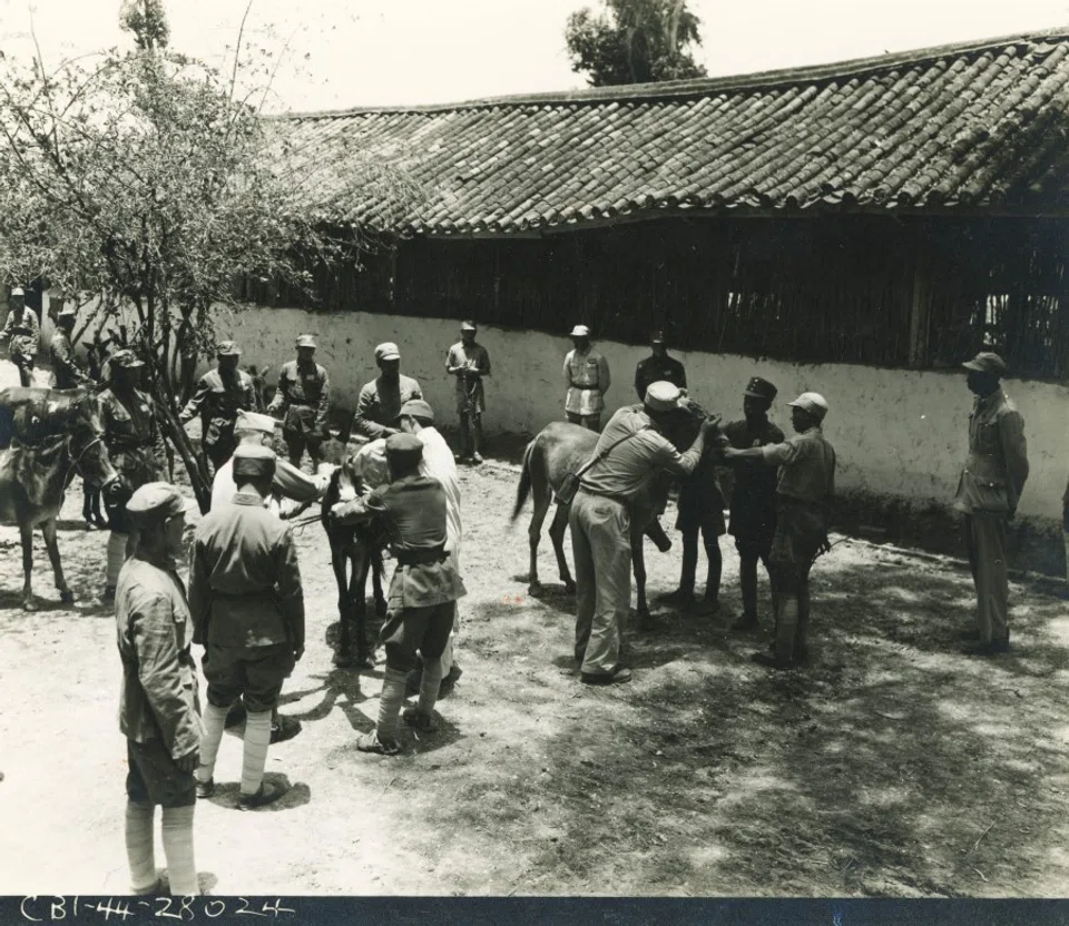 The search for Ma Tinghui: An ordinary soldier, an extraordinary life ...