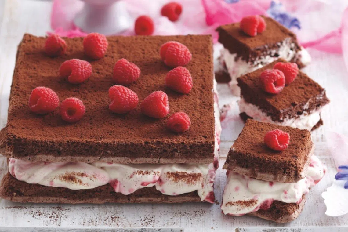 Double Chocolate & Raspberry Sponge Slice - The Singapore Women's ...