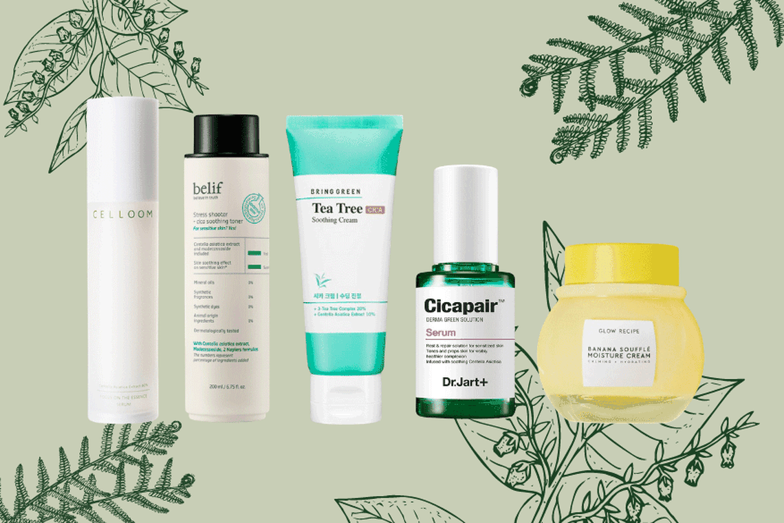 Centella Asiatica: Why Korean Skincare Brands Love This Soothing ...
