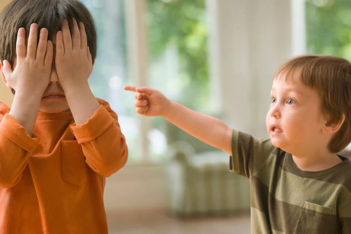 Top 3 Reasons For Sibling Rivalry And What You Can Do About It | The ...