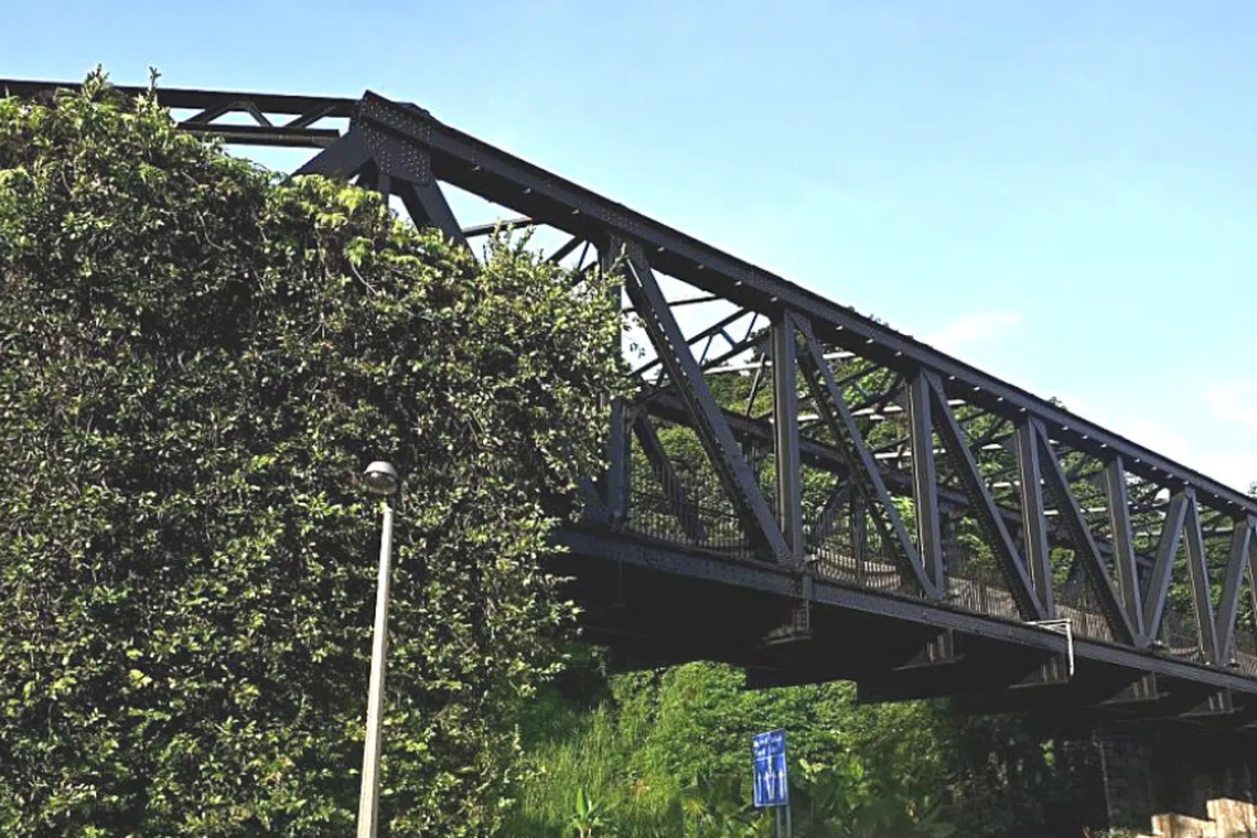 Revamped Rail Corridor Stretch Between Bukit Timah Truss Bridges Has ...