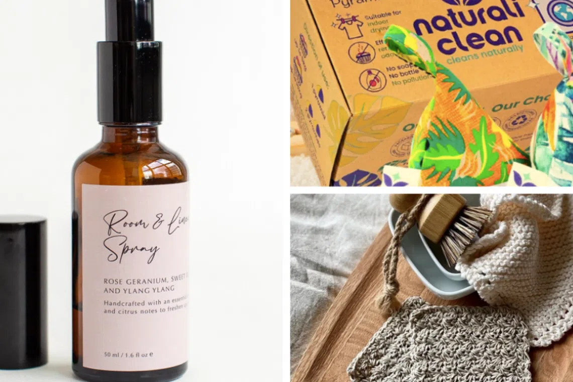 7 Household Cleaning Products That Are Also Ec-friendly | The Singapore ...