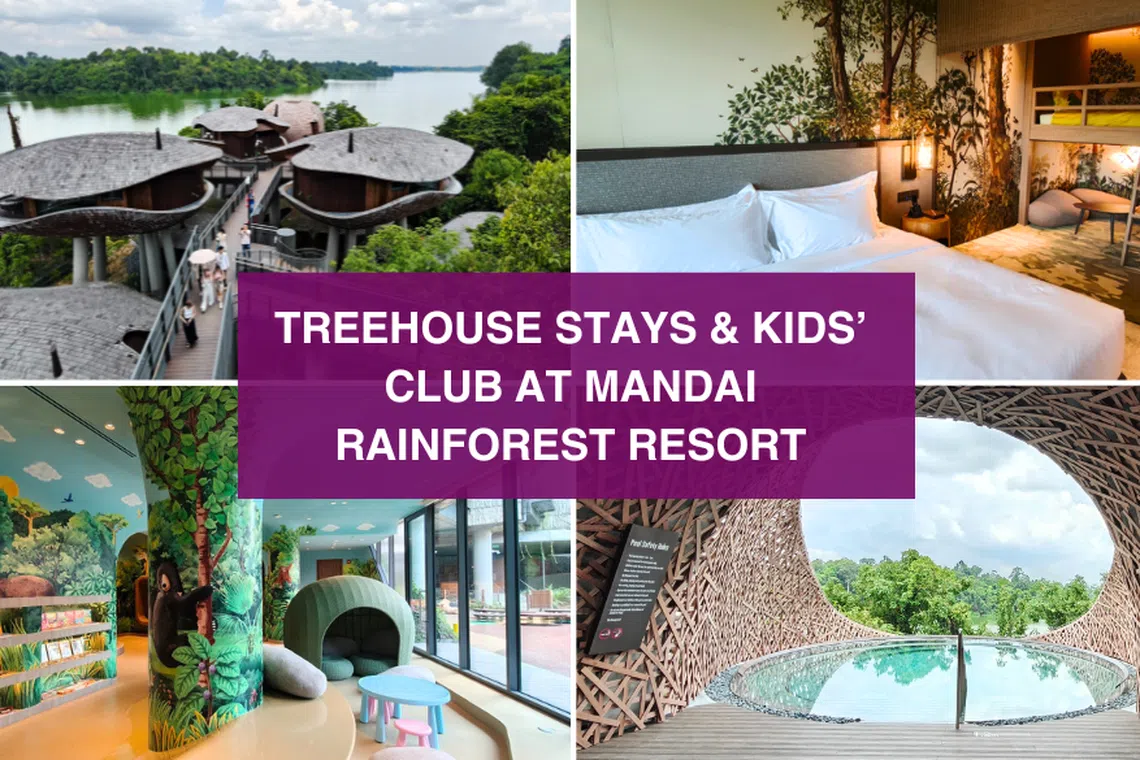 Mandai Rainforest Resort By Banyan Tree Has Treehouses & More | The ...