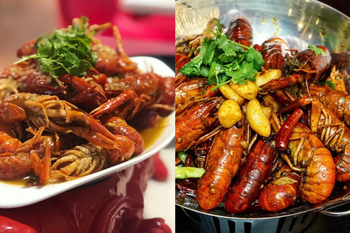 Where To Go For Crawfish "Xiao Long Xia" In Singapore | The Singapore ...