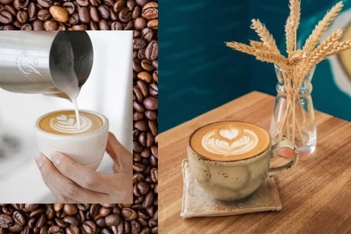 15 Great Coffee Places In Singapore For Your Caffeine Fix - The ...