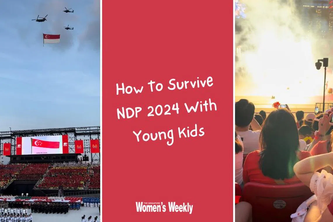 NDP 2024 Survival Guide For Parents Going With Young Kids | The ...