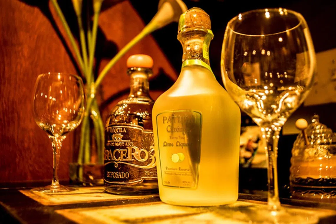 How Agavins in Tequila Could Help You Lose Weight - The Singapore Women ...